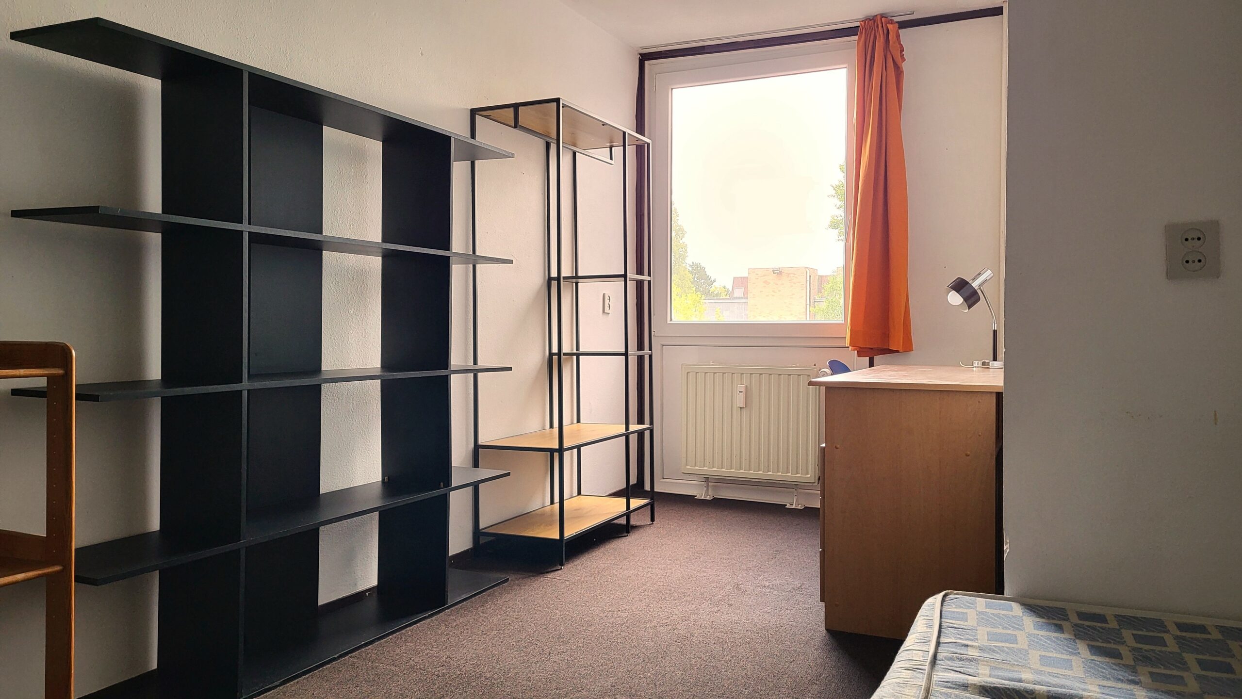 Kot Chinels 11 | Kots